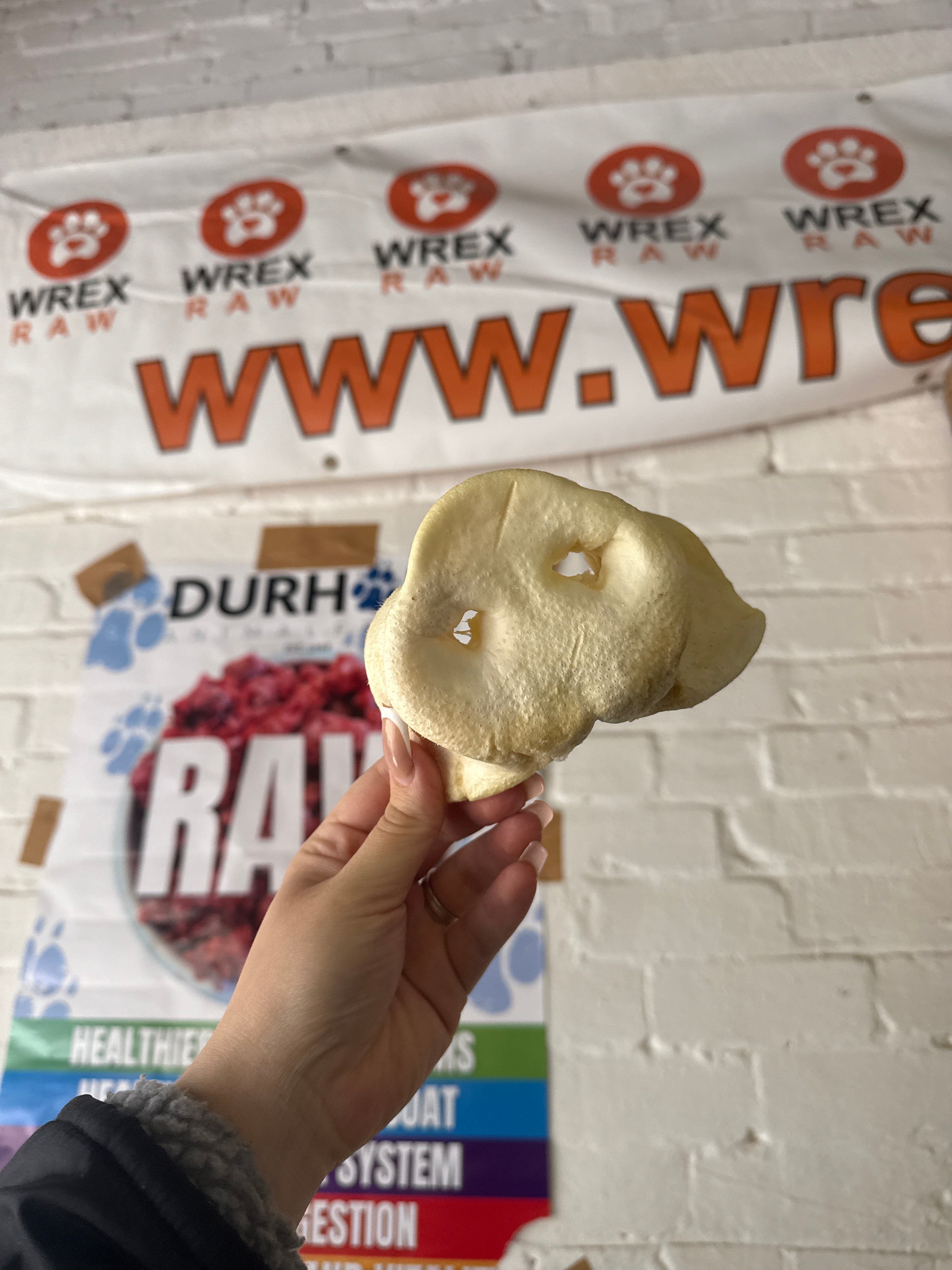 Puffed Pig Snout – Wrexraw